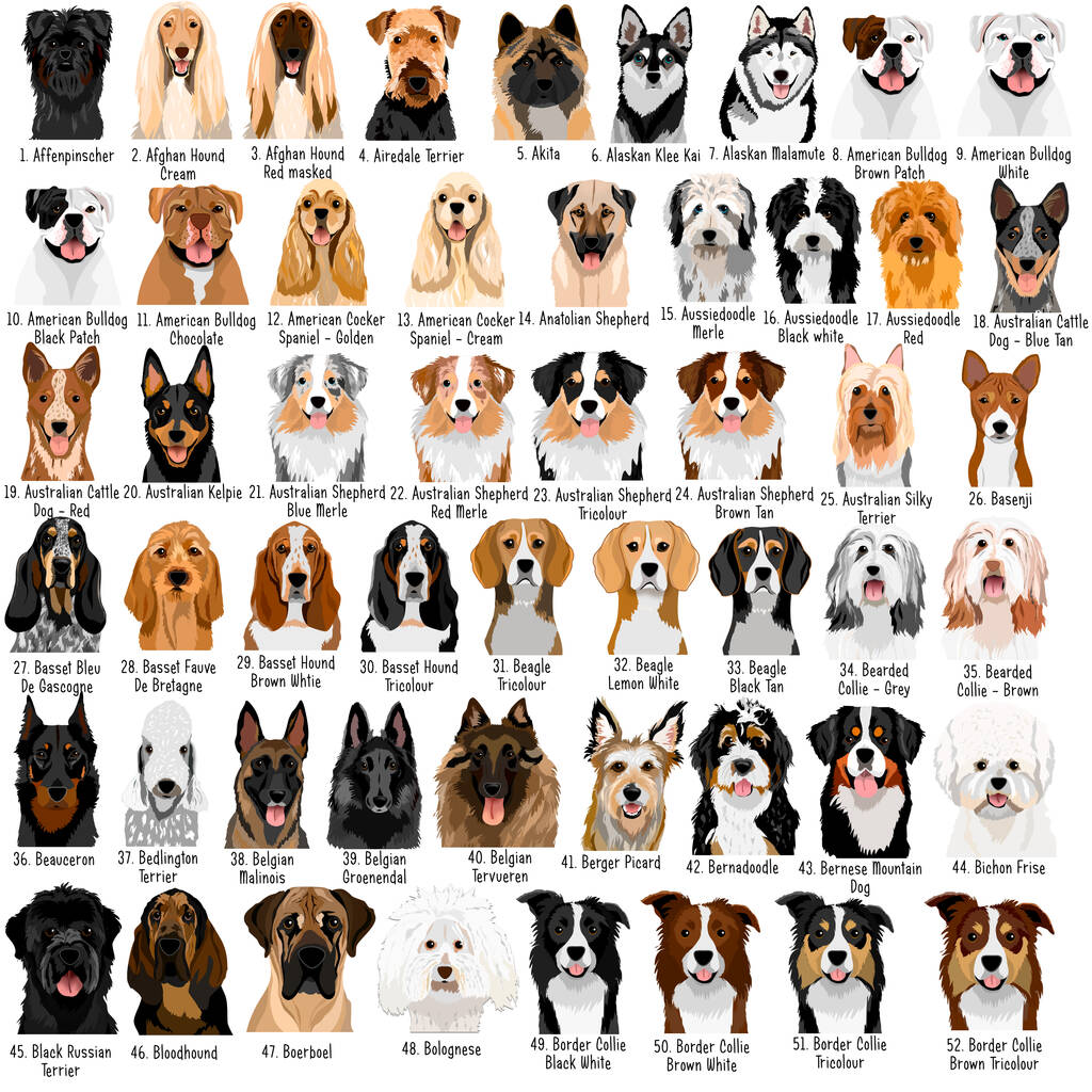 dog breed chart large