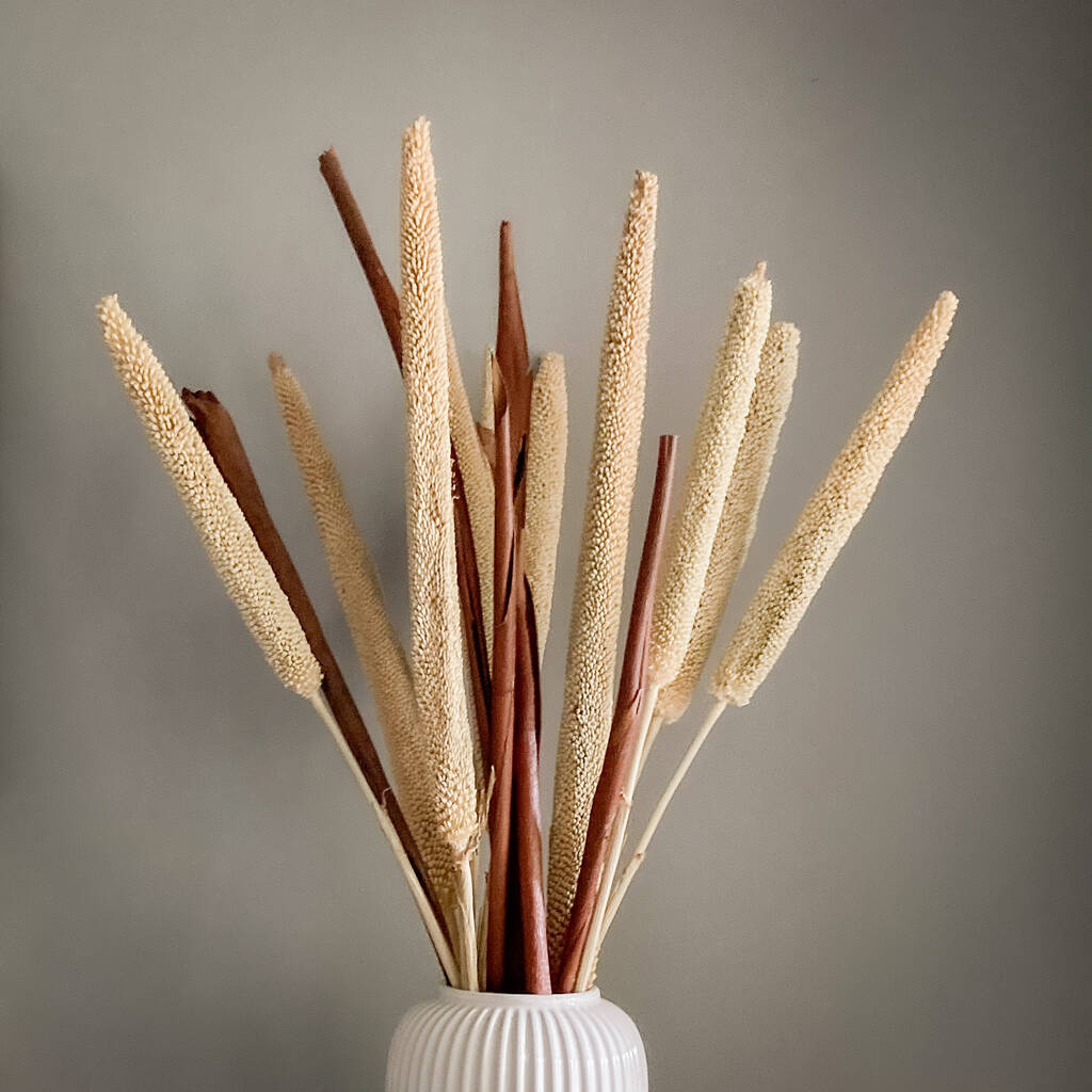 Pearl Millet And Eucalyptus Bark Stem Bouquet By Neboho