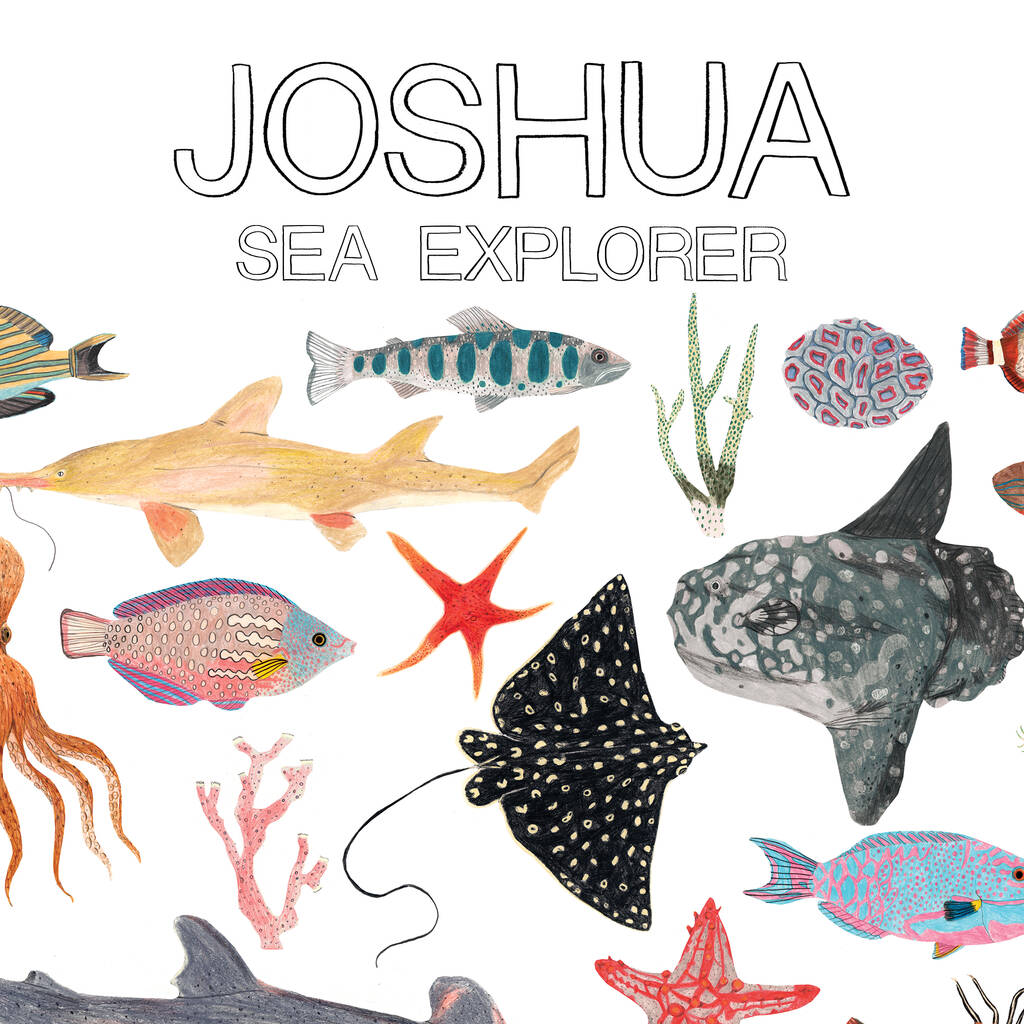 Personalised Sea Life Print By James Barker | notonthehighstreet.com
