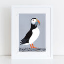 Puffin Prints 'choice Of Four Designs' By Bird | notonthehighstreet.com