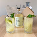 Premium Bottled Mojito Cocktail Gift Set By Hoxton & Grey Cocktails ...