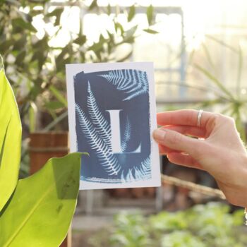 Cyanotype Letter Greetings Card By The Letterologists ...