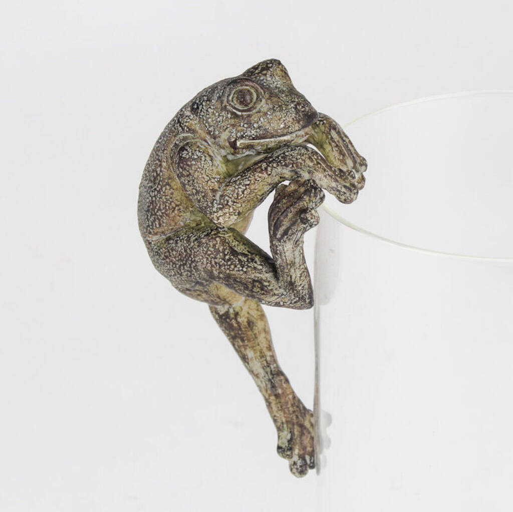 Indoor/Outdoor Attractive Frog Pot Hanger By L V Bespoke