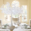 Enchanted Tree White Maple Small 0.5m By Enchanted Trees ...