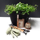 Grow Your Own Herbs Gardening Gift Set By Kenneth & Kenneth ...