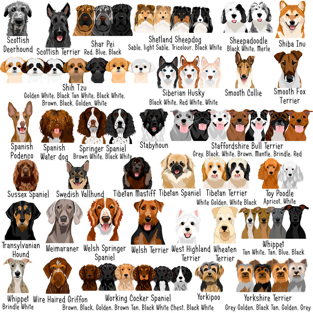 Bold Dog Breed Premium Illustrated Name Tag By Hoobynoo ...