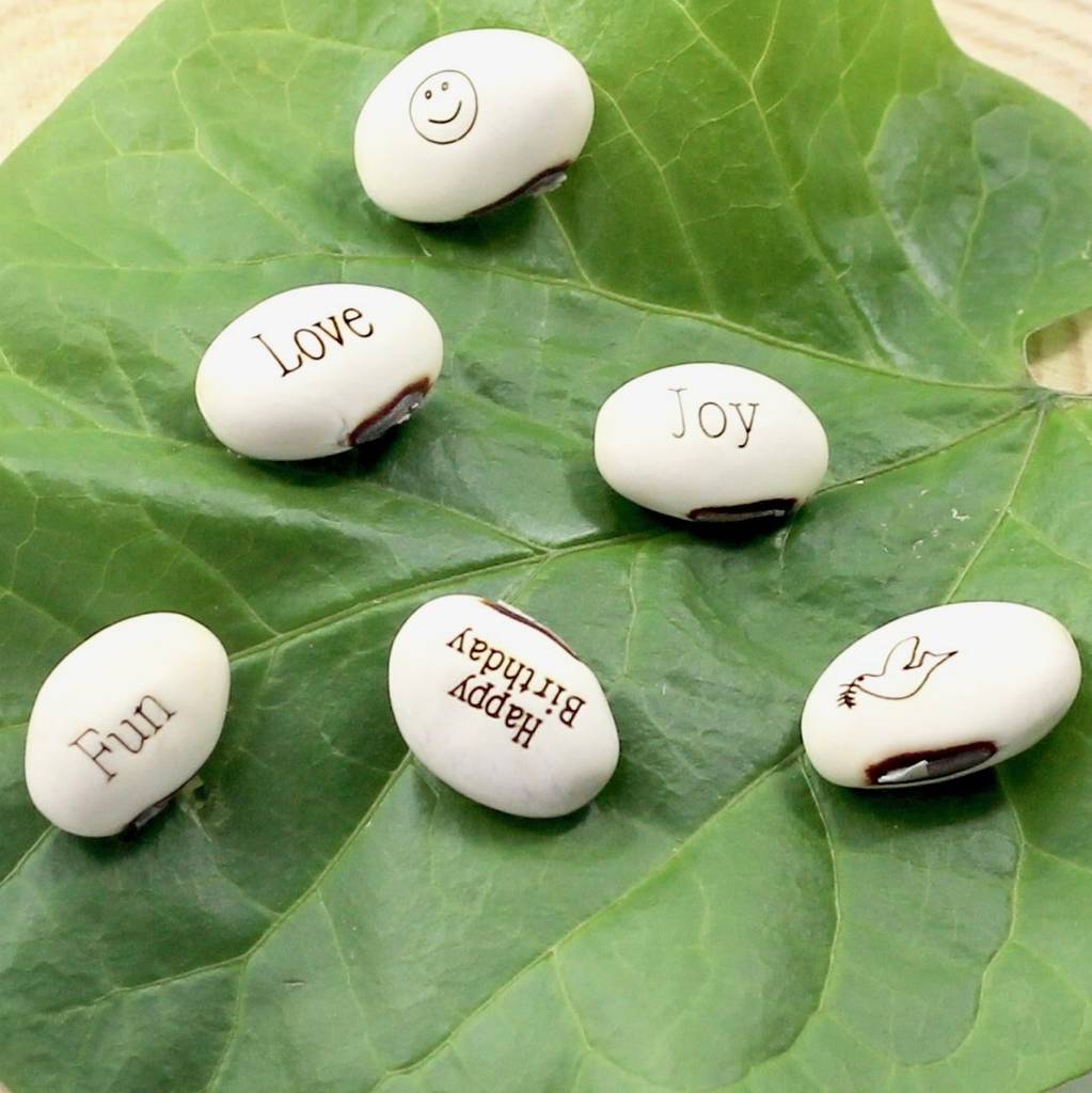 beans talk message seeds jar set by beecycle | notonthehighstreet.com