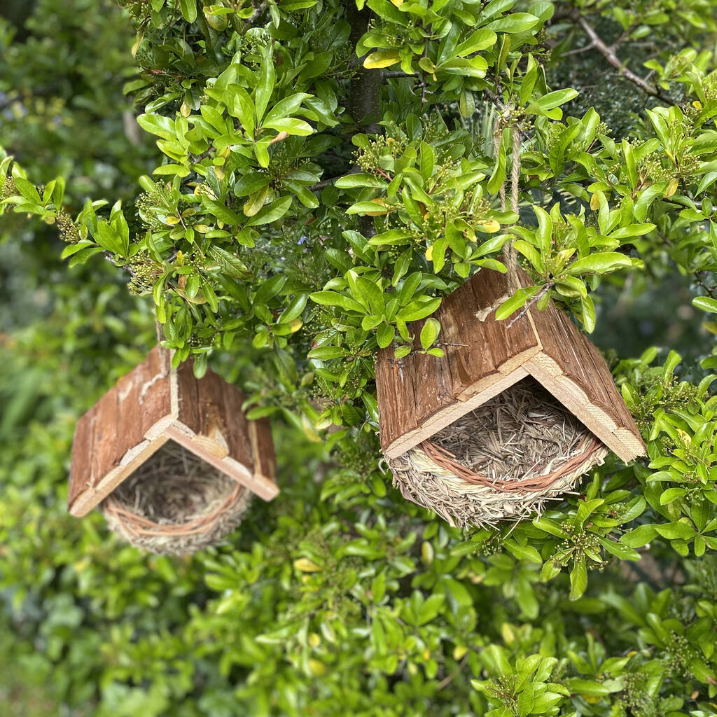 Duo Of Woven House Martin Bird Boxes By Garden Selections ...