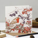 'red Robin' Christmas Card By Fay's Studio | notonthehighstreet.com