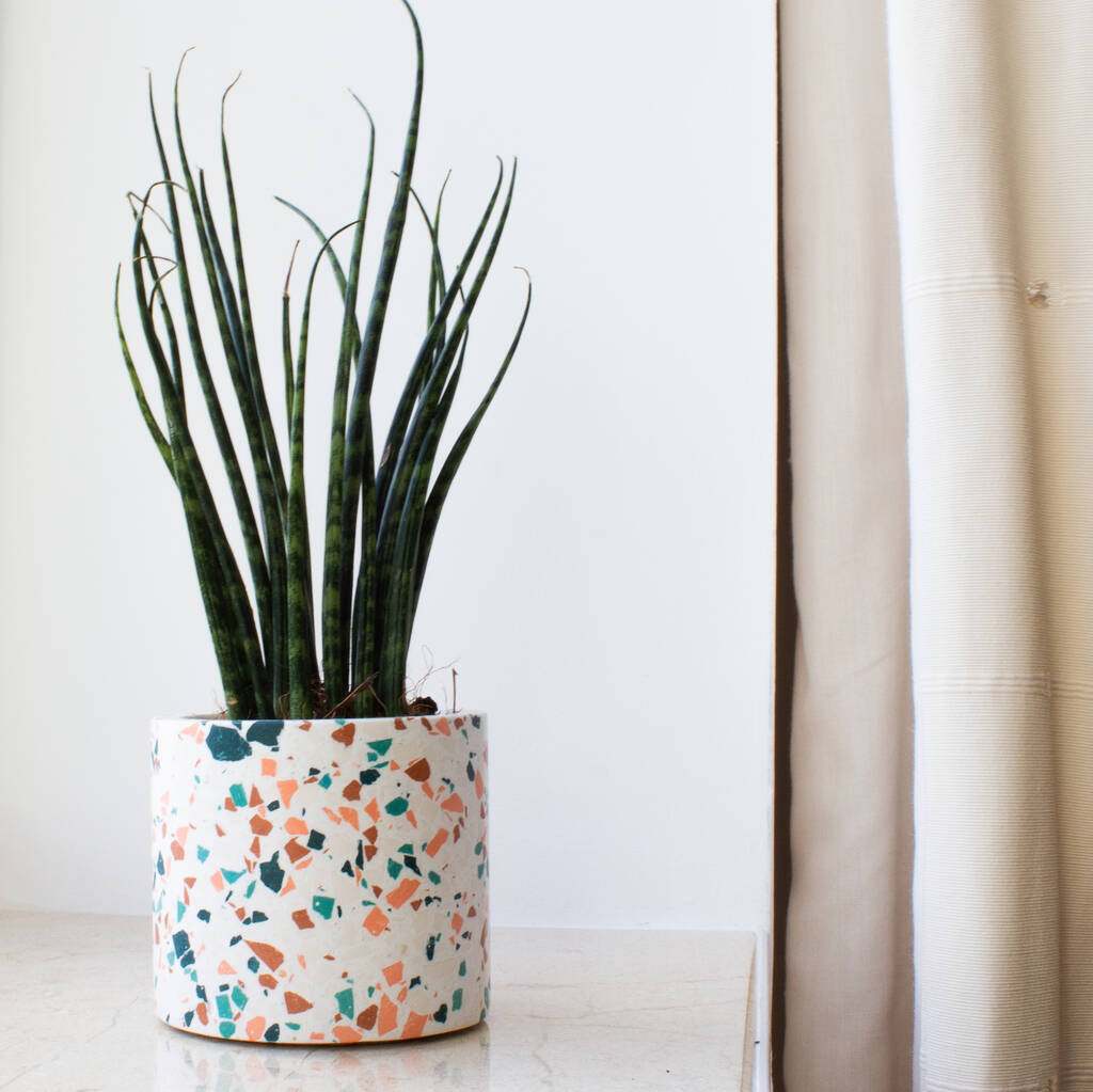 Classic Handmade Terrazzo Plant Pot By Slow Make Studio ...