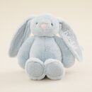 Personalised Blue Bunny Soft Toy By My 1st Years | notonthehighstreet.com