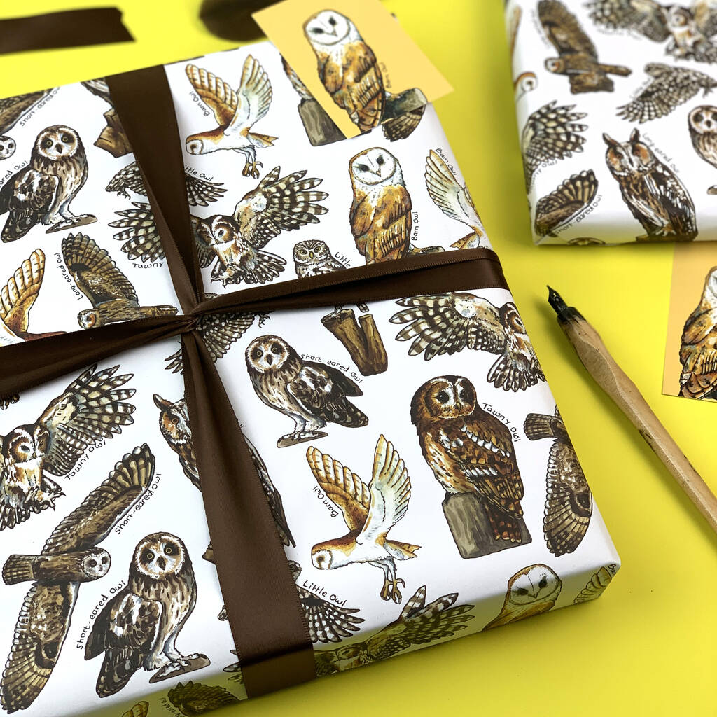 Owls Of Britain Wrapping Paper Set By Alexia Claire ...