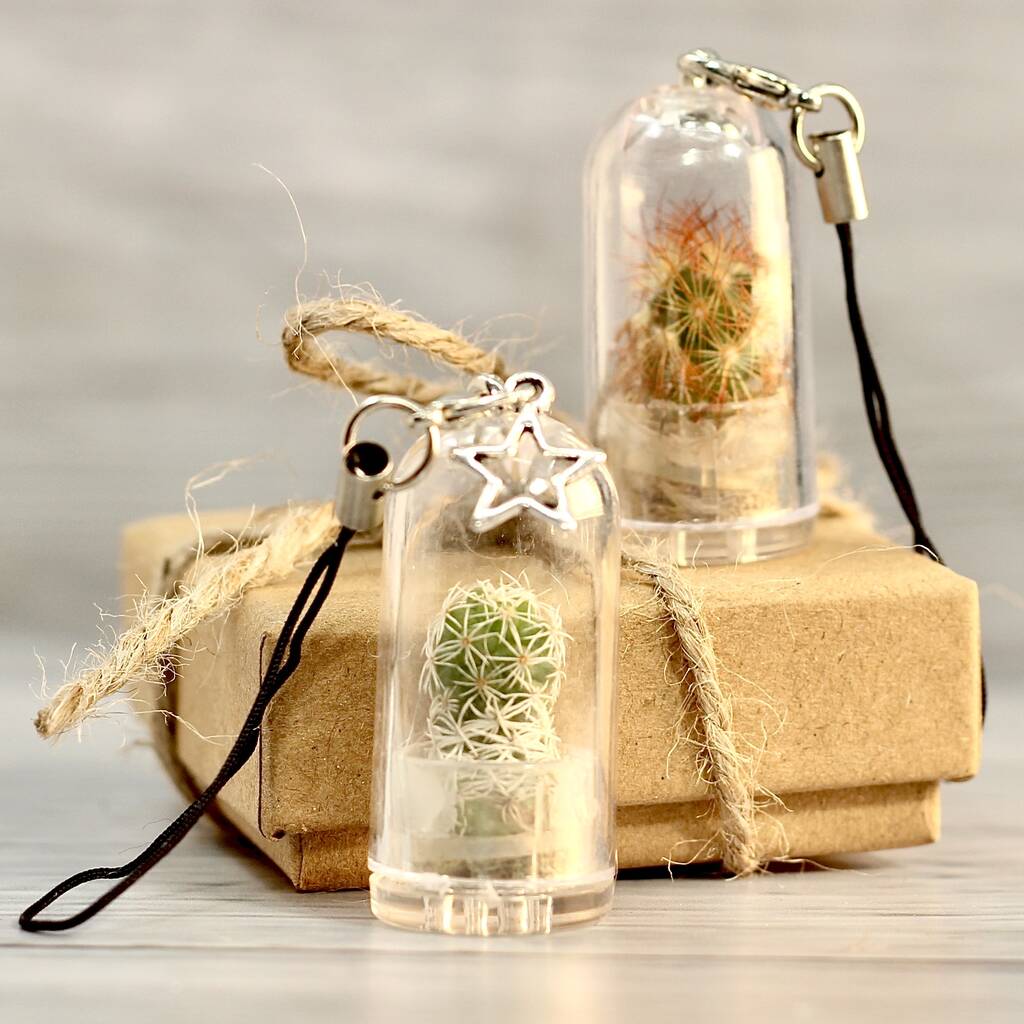 Personalised Mini Terrarium Cactus Keychain By Be Ecycle ...