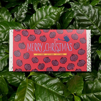 Tiny Tomato Growbar By The Gluttonous Gardener | notonthehighstreet.com