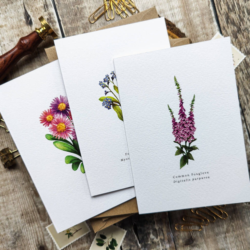 Set Of 10 Different Pink And Blue Wildflower Notecards By Paper Willow ...