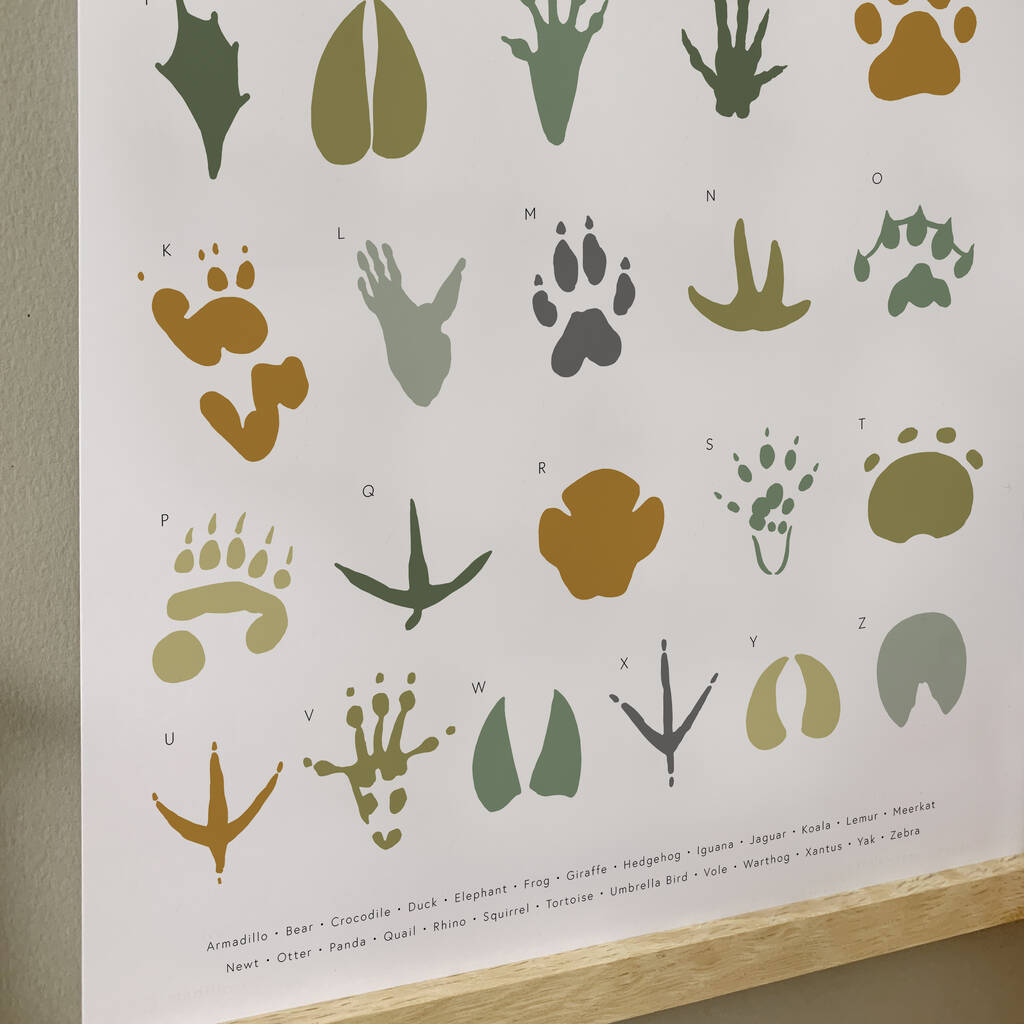 Animal Tracks A–Z Camouflage Print By Little Blue Zebra ...