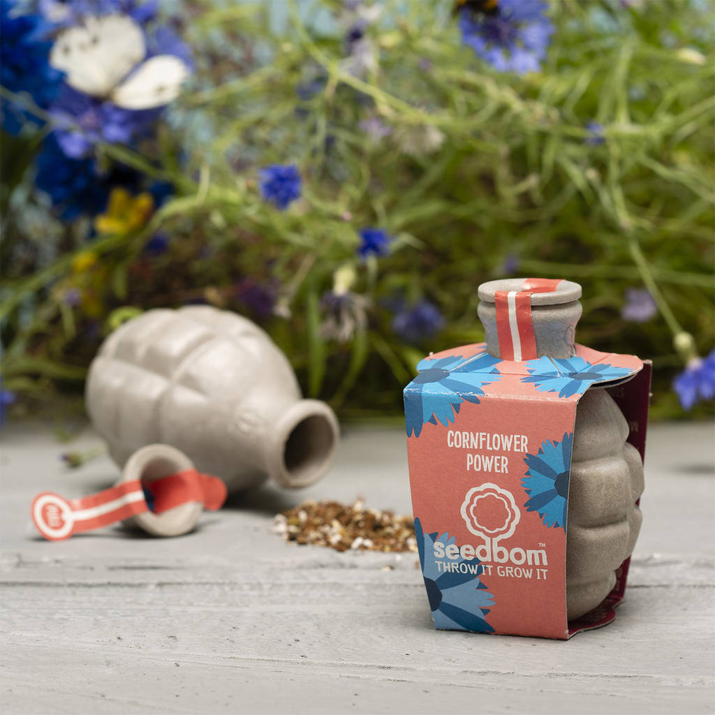 Cornflower Power Seedbom By Kabloom | notonthehighstreet.com