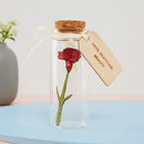 Birth Flower Message Bottle 40th Birthday Gift By Bombus ...