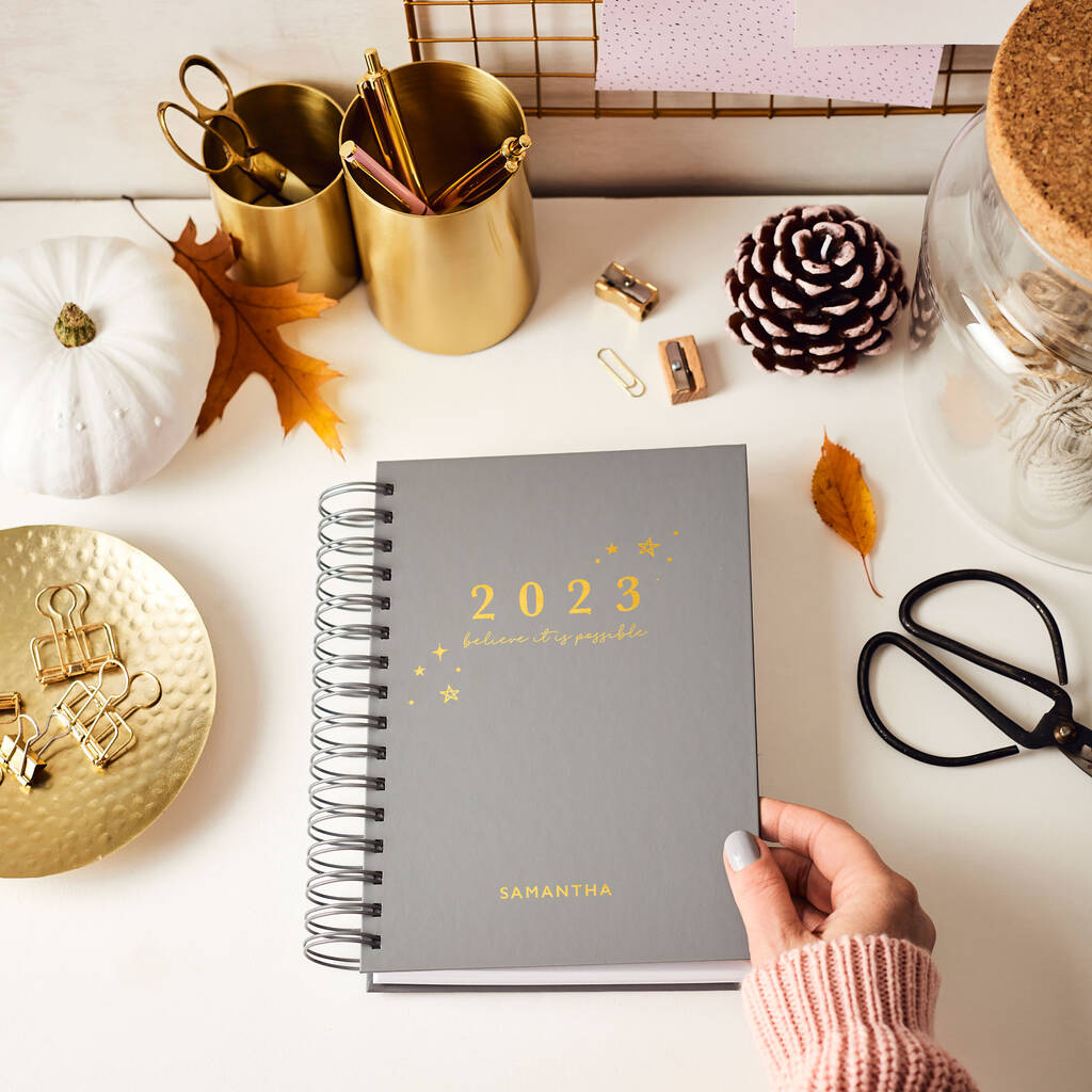 Believe It's Possible 2023 Daily Diary By Martha Brook ...