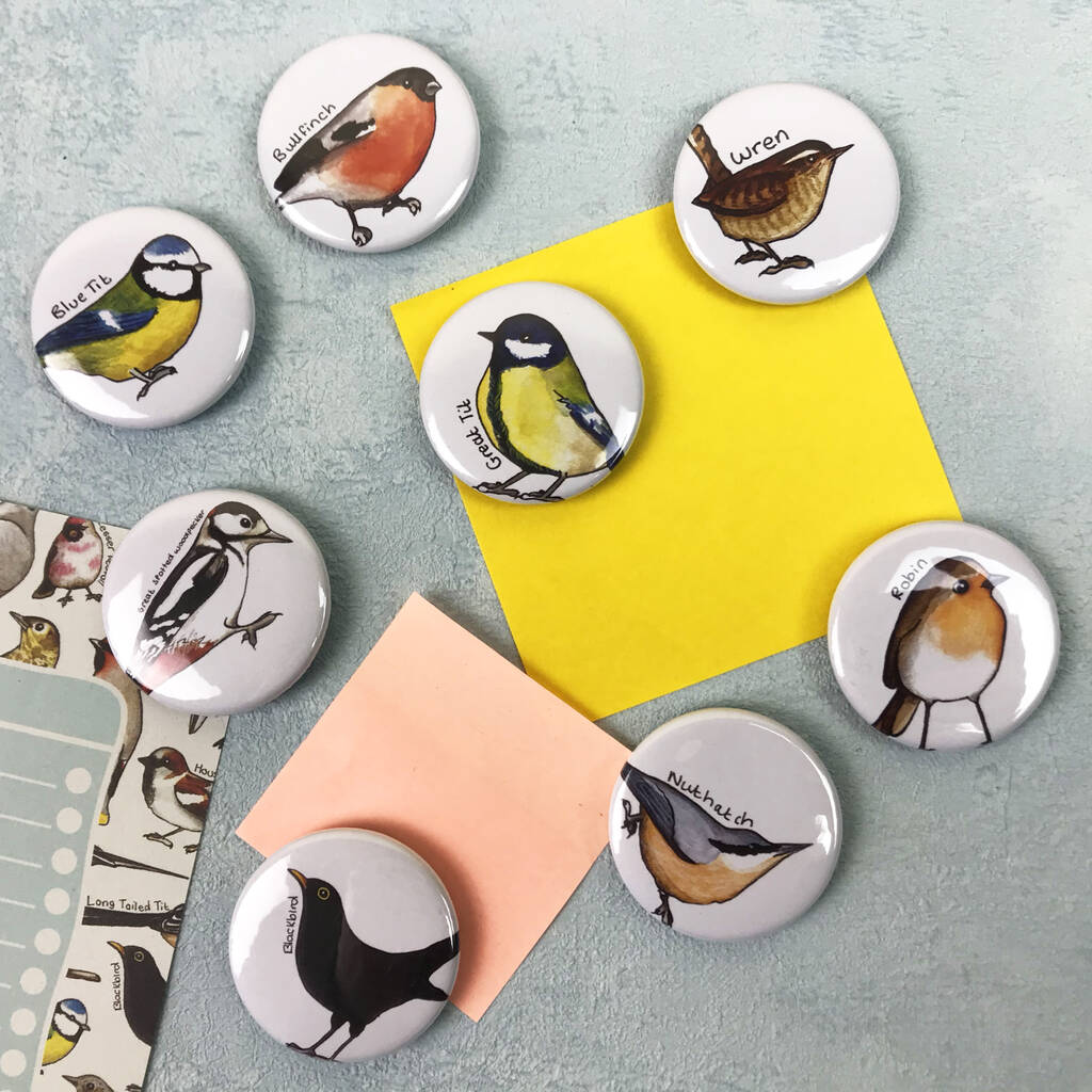 Garden Birds Fridge Magnet Set By Alexia Claire | notonthehighstreet.com