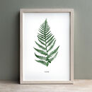 Personalised Fern Leaf Monoprint Fine Art Print By Print Nineteen ...