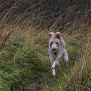 Your Fun And Practical Guide To Shutter Speed By Sarah Loveland ...