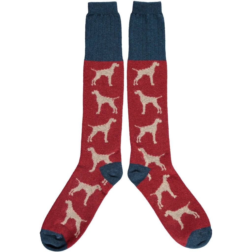 men's soft lambswool socks : animals by catherine tough ...
