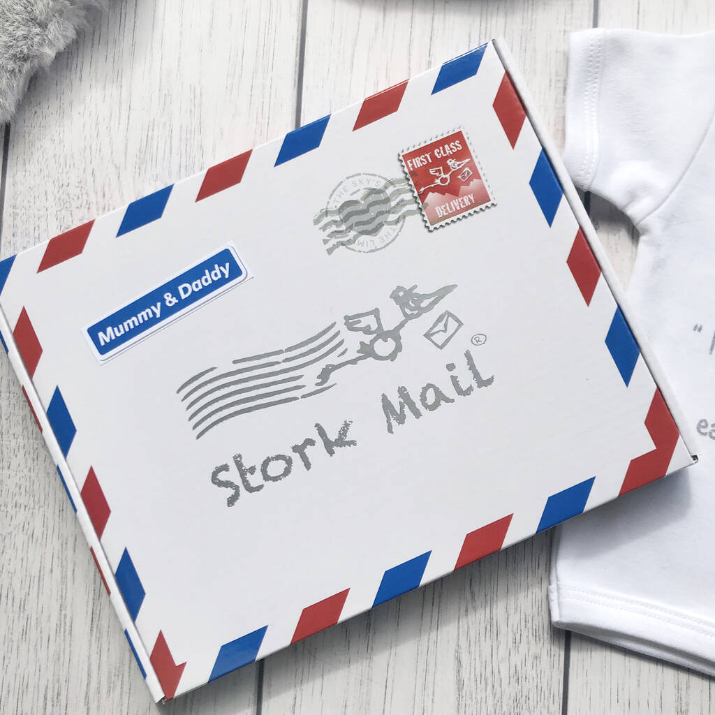 bump to baby, gift for new and expectant parents by stork mail ...