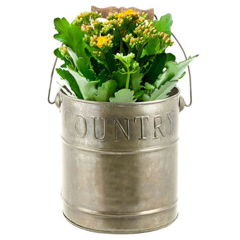 Personalised Country Cottage Planter By Dibor | notonthehighstreet.com