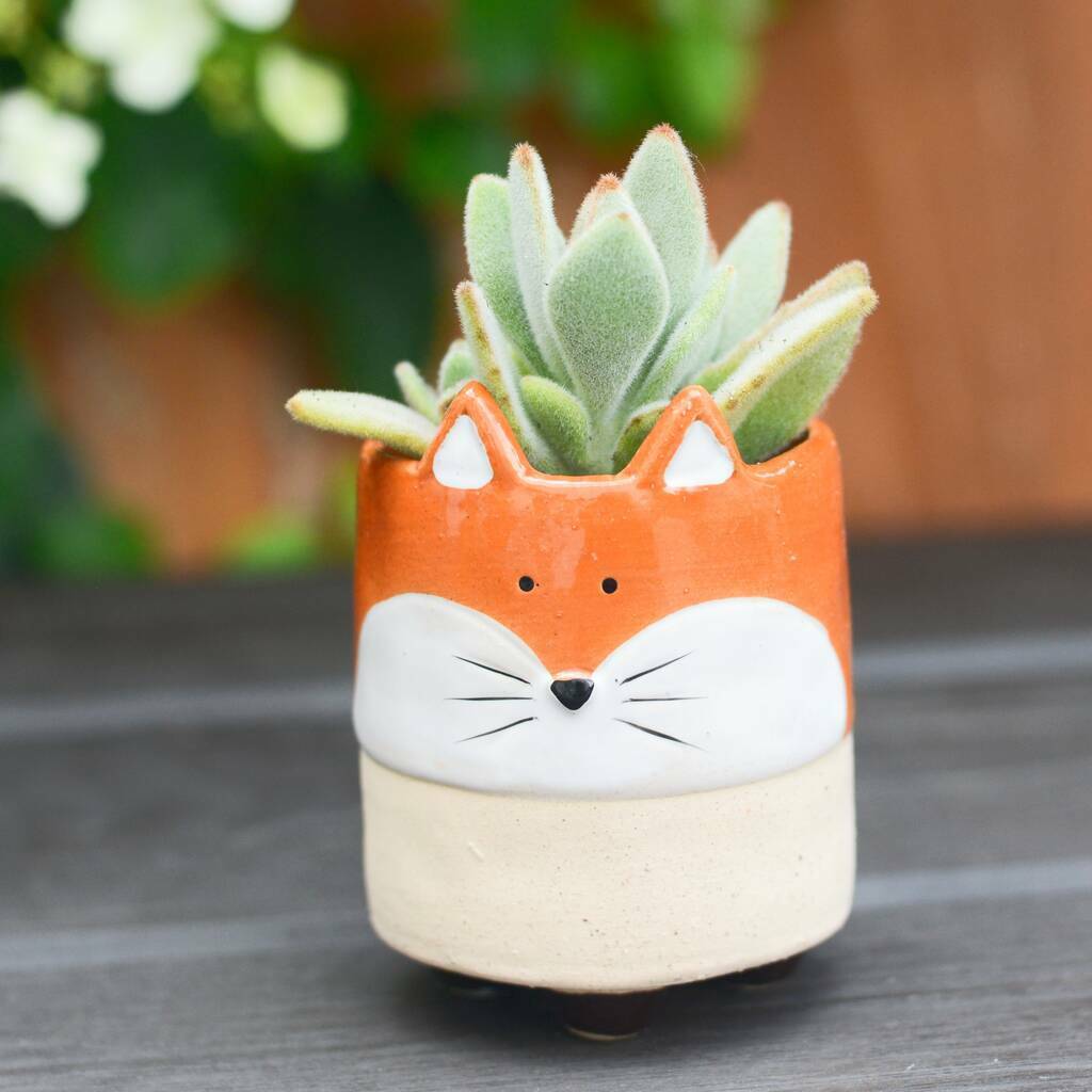 Woodland Fox Planter With Choice Of Plant By DingaDing