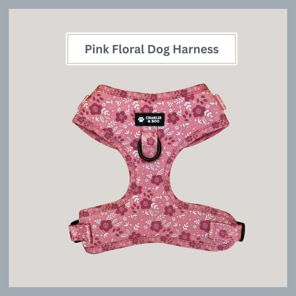 Pink Floral Dog Harness By Charlie and Boo