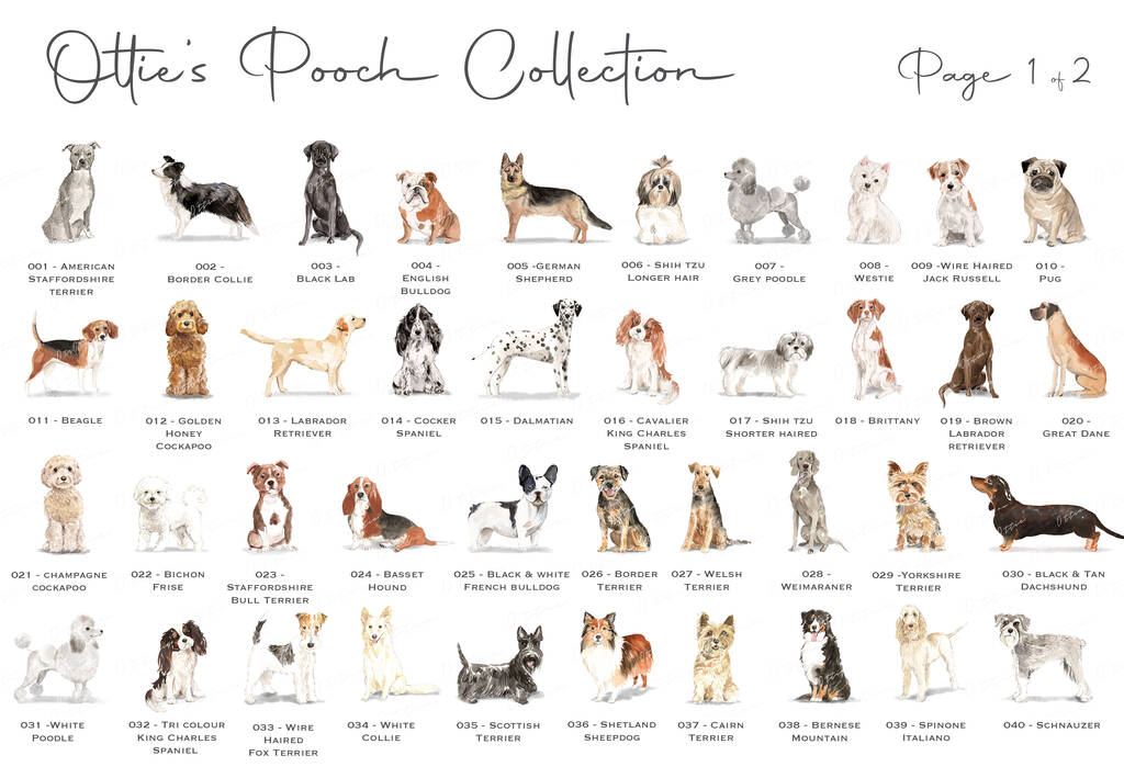 Dog Wedding Table Numbers By Ottie Design | notonthehighstreet.com