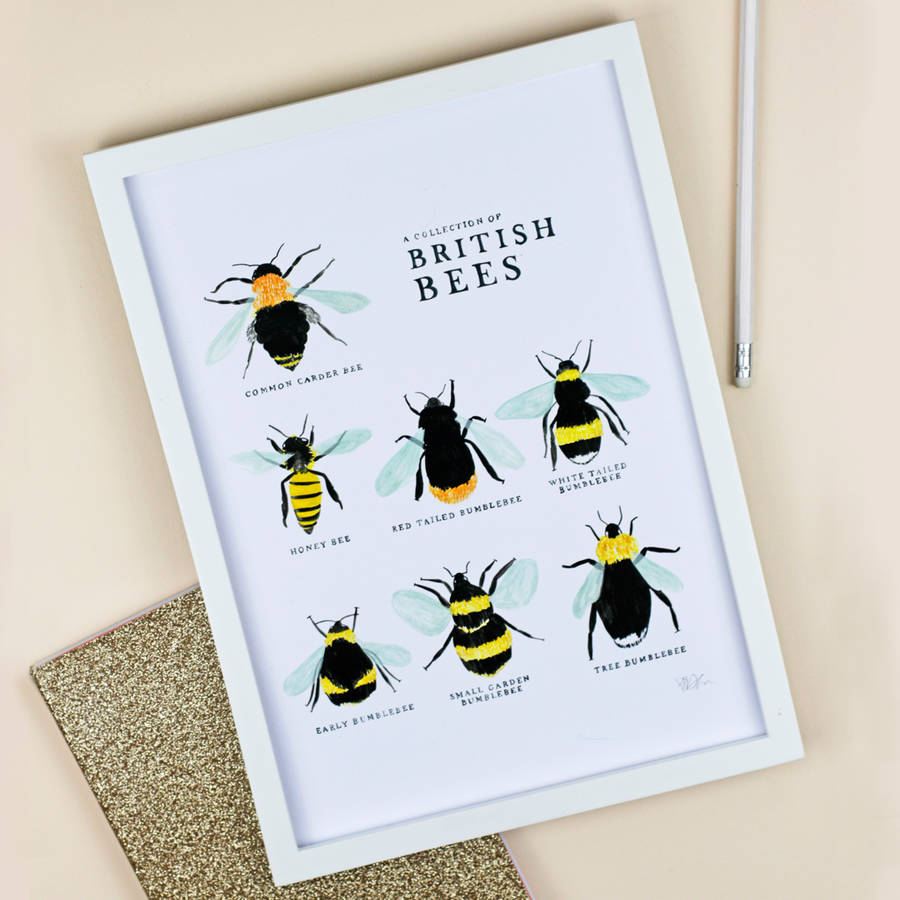 illustrated british bees springtime print by annie dornan-smith design ...