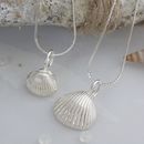 Sterling Silver Clam Shell Necklace By Caroline Brook ...