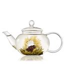 Classic Glass Teapot With Infuser By The Exotic Teapot ...
