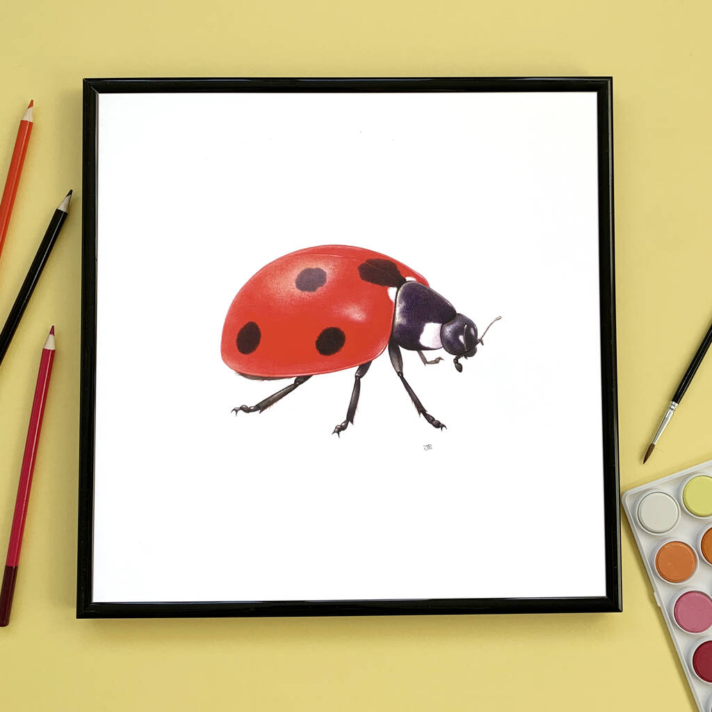 Illustrated Ladybird Print By Little Blue Zebra | notonthehighstreet.com