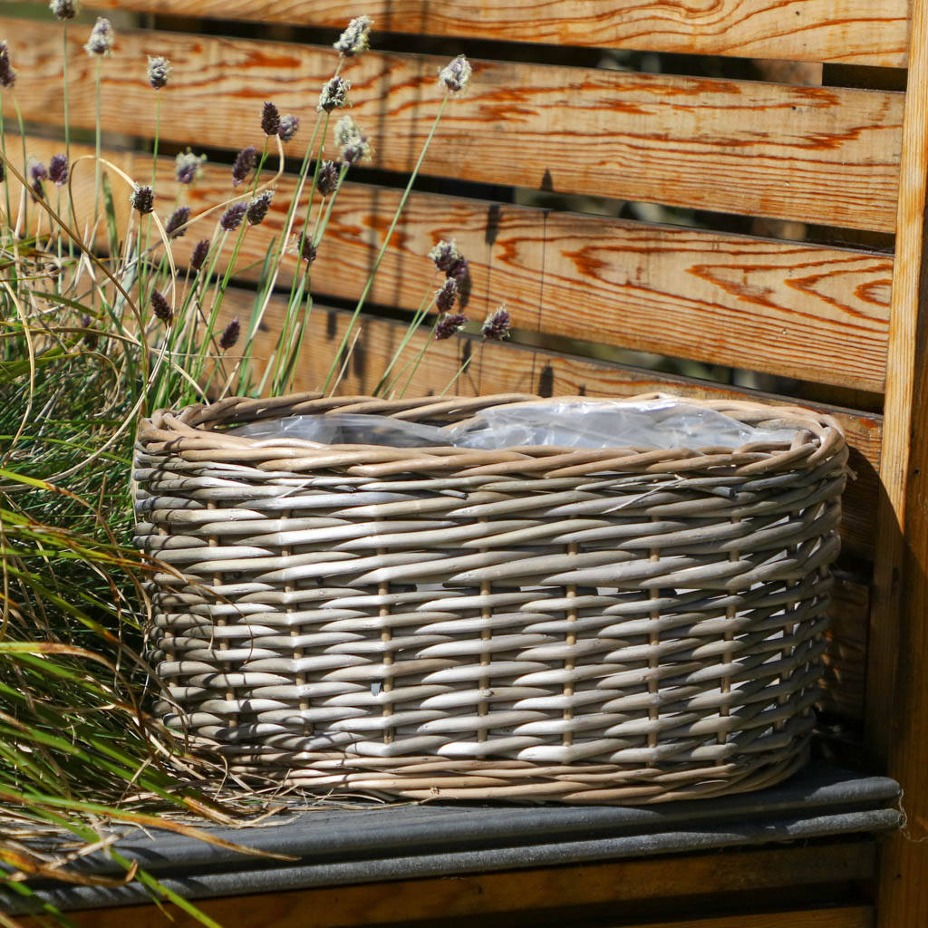 Oval Wicker Garden Planter Basket By Dibor | notonthehighstreet.com
