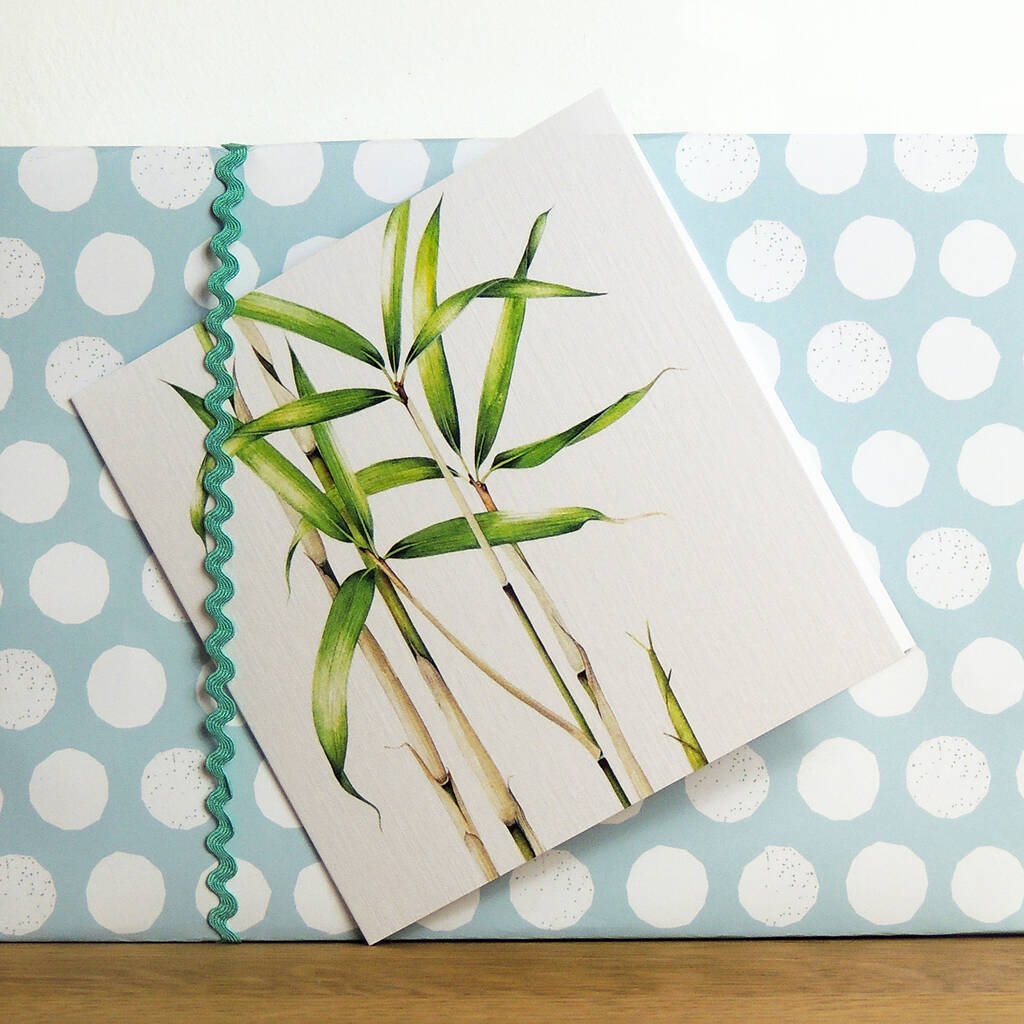 Bamboo Greetings Card By Kali Stileman Publishing | notonthehighstreet.com