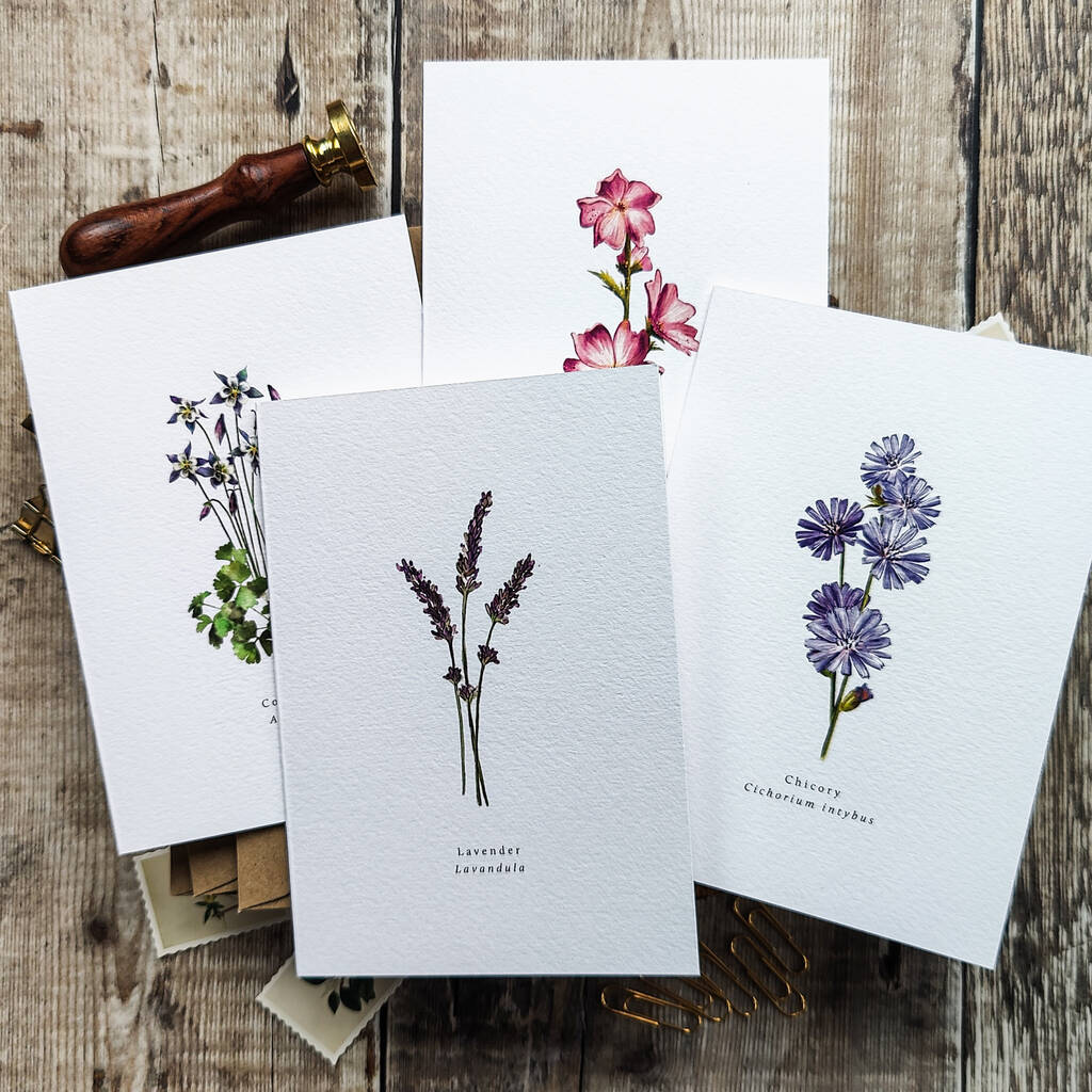 Set Of 10 Different Pink And Blue Wildflower Notecards By Paper Willow ...