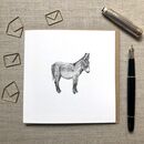 Donkey Greetings Card By Have A Gander | notonthehighstreet.com