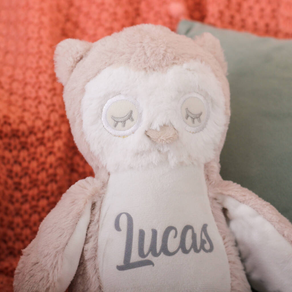 Personalised Owl Teddy Bear Toy Gift For Baby By That's Nice That ...