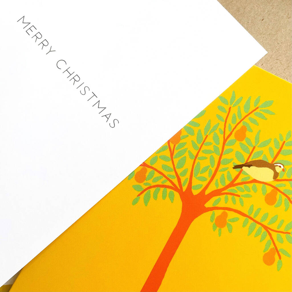Partridge In A Pear Tree Card By Tamzin Harris