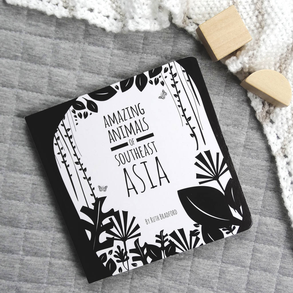 amazing animals of southeast asia monochrome board book by the little ...