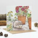 'hedgehog' Greeting Card By Fay's Studio | notonthehighstreet.com