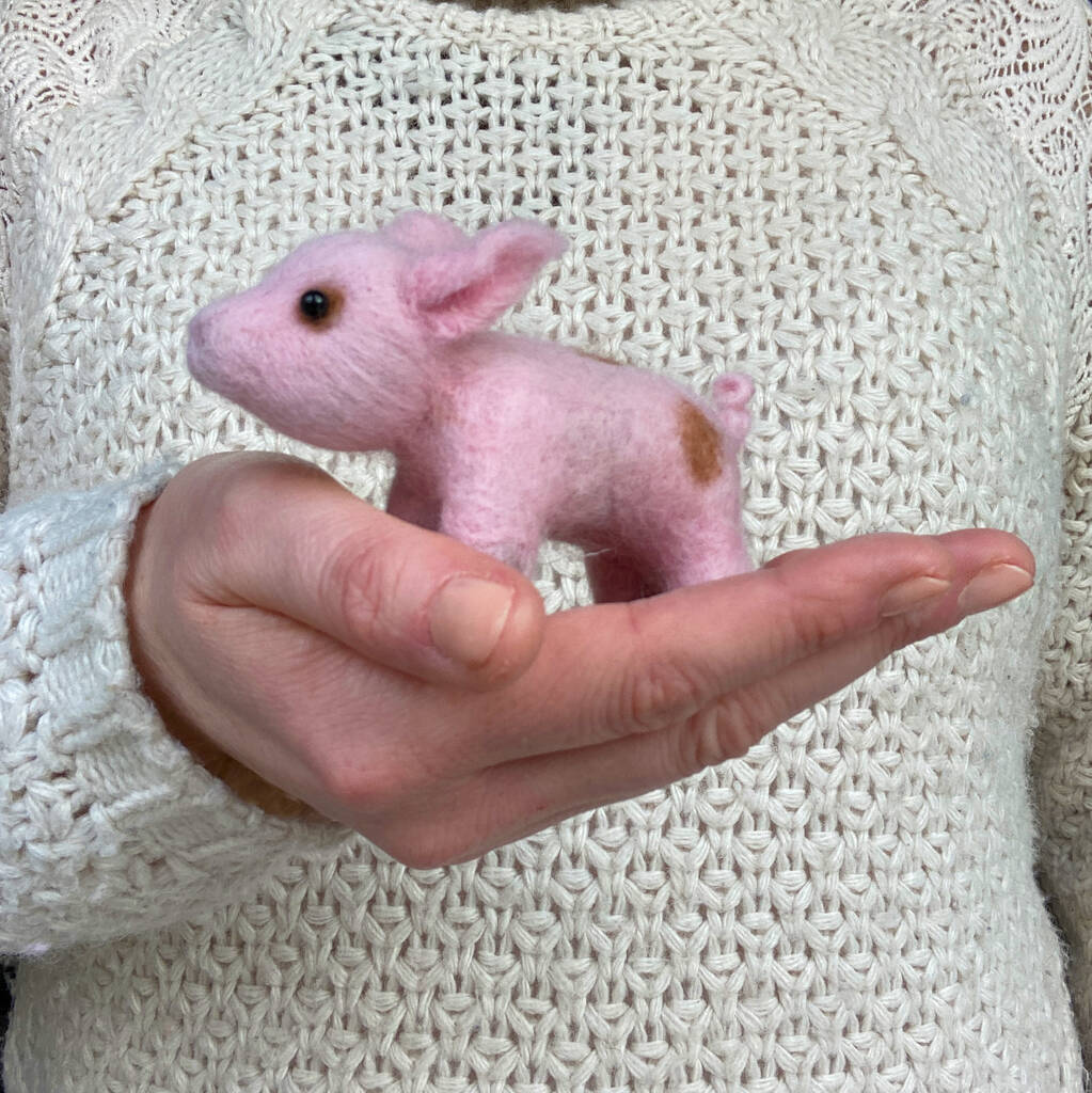 Needle Felting Kit Pig By Bergin & Bath | notonthehighstreet.com