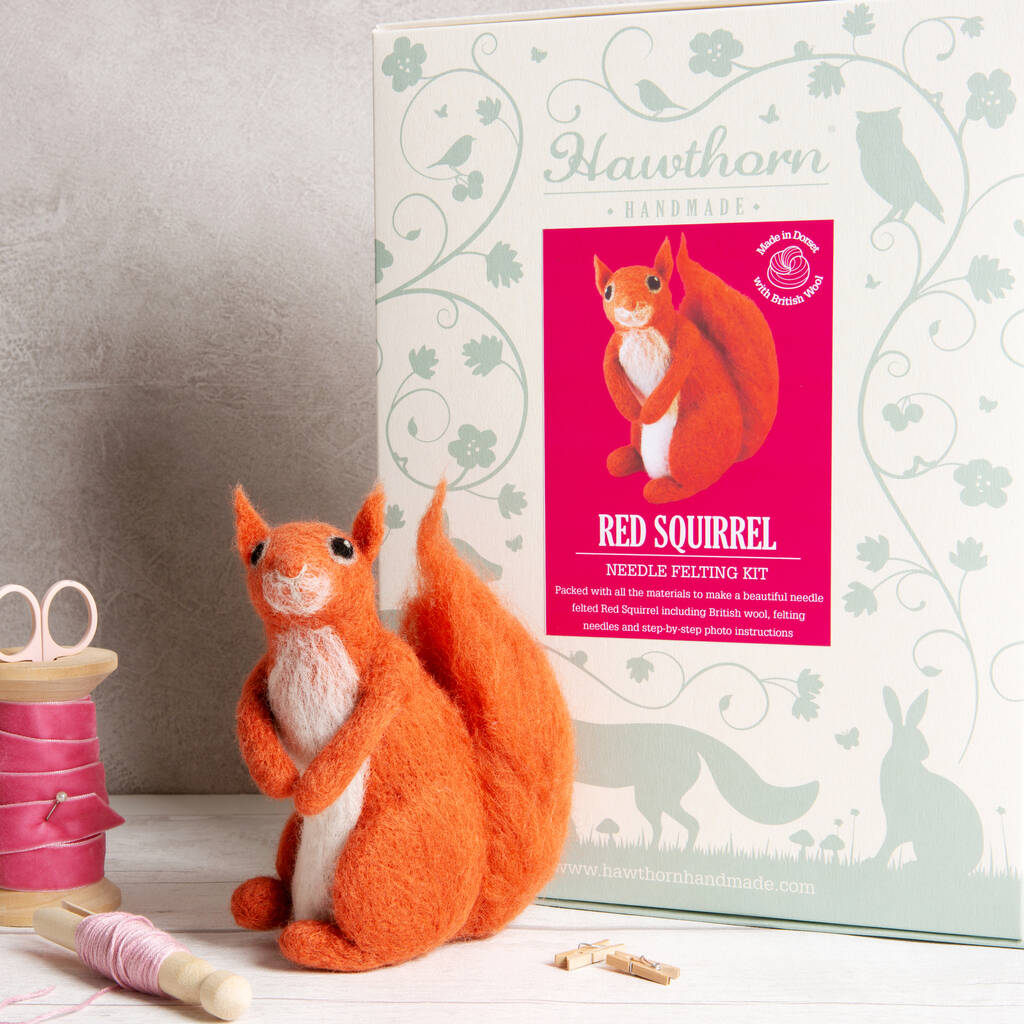 Red Squirrel Needle Felting Craft Kit By Hawthorn Handmade ...
