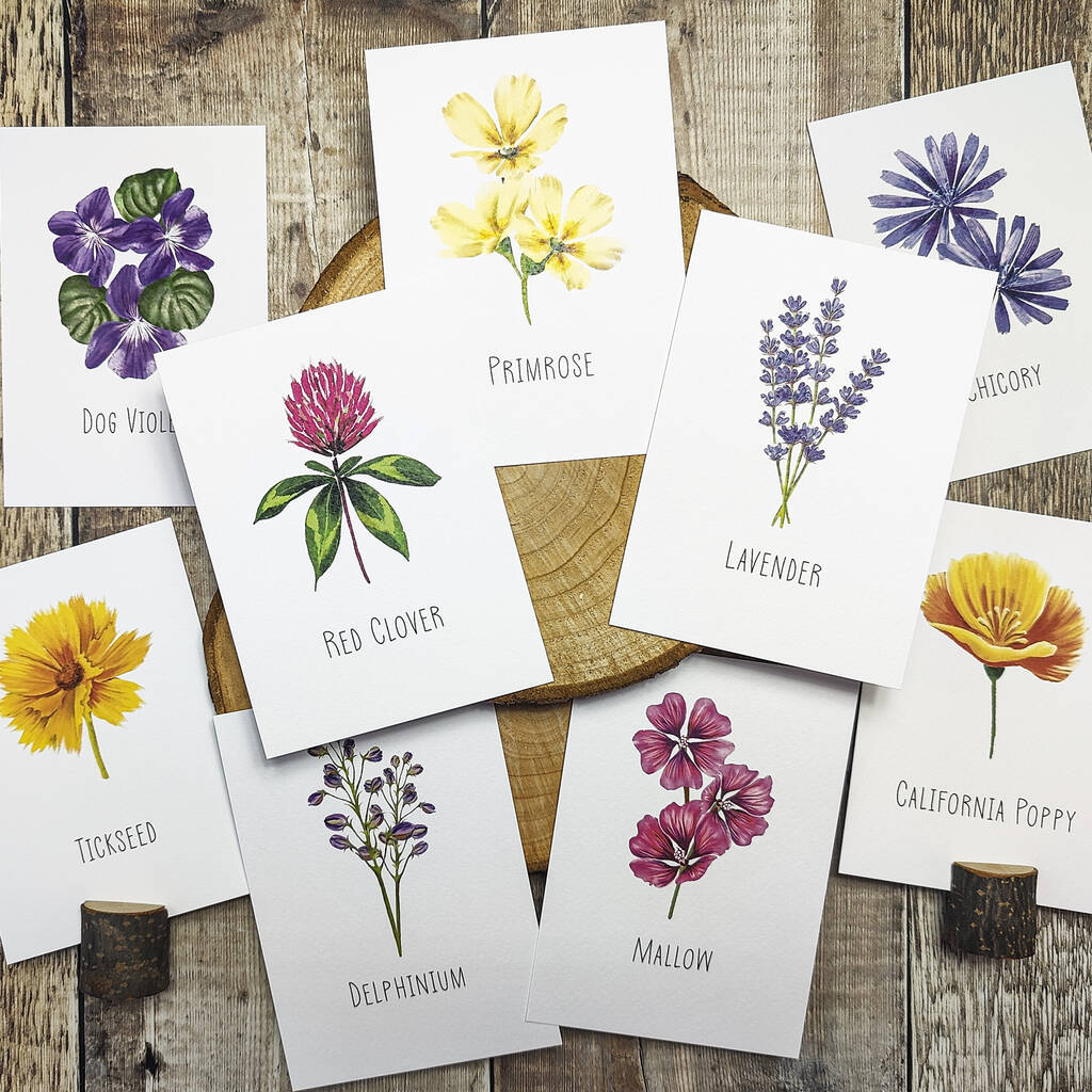 Colourful Flower Table Name Card By Paper Willow | notonthehighstreet.com