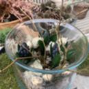 Natural Spring Floristry Display Box By The Danes | notonthehighstreet.com