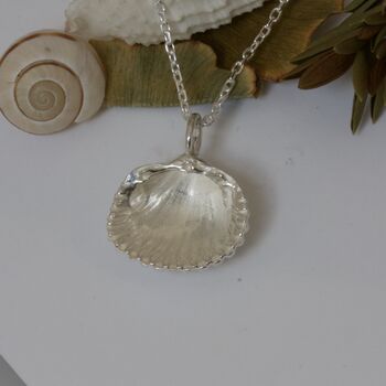 Sterling Silver Clam Shell Necklace By Caroline Brook ...