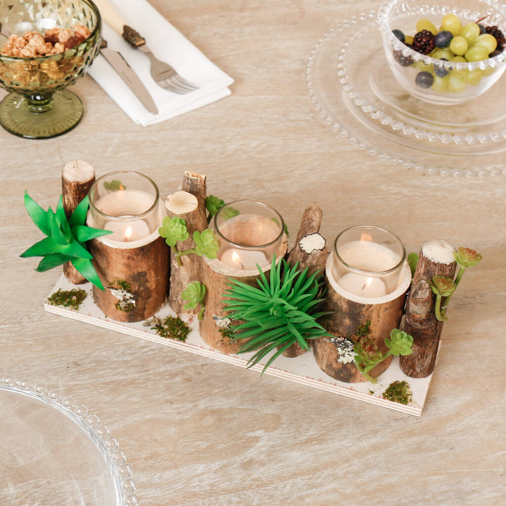 contemporary succulent centrepiece candle holder by dibor ...